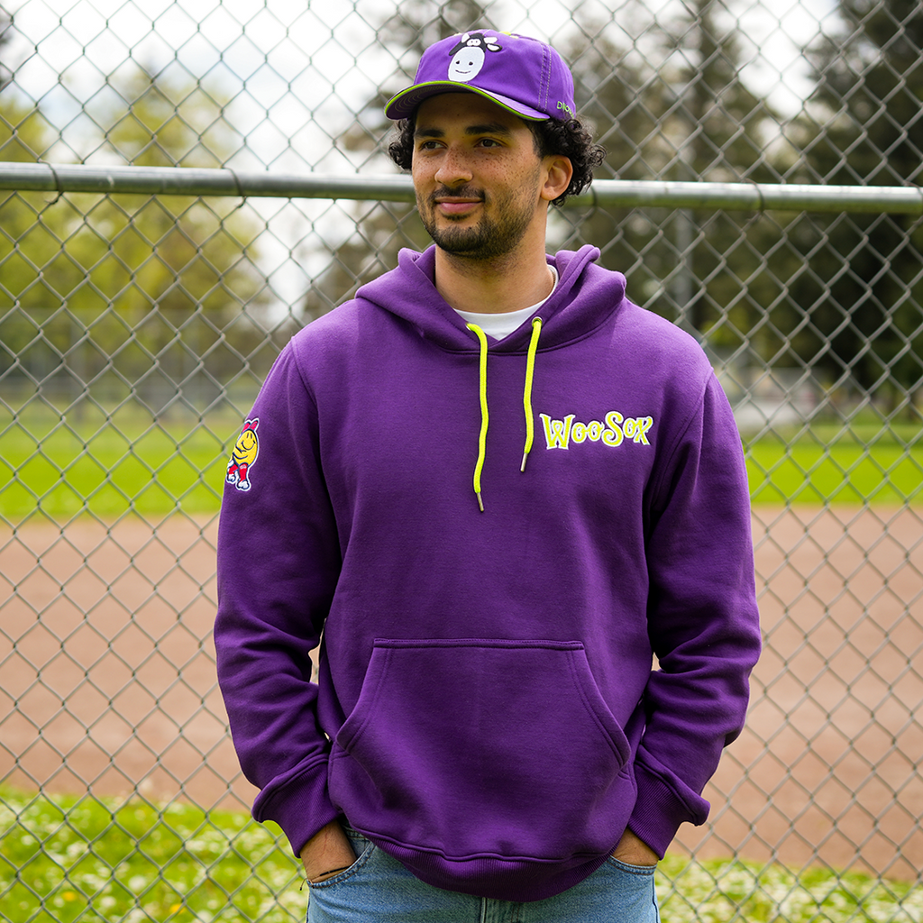 [ dinosaur jr. x worcester red sox ] the hood – Official League