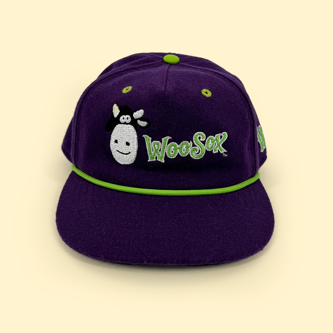 [ dinosaur jr. x worcester red sox ] the wooly | Official League